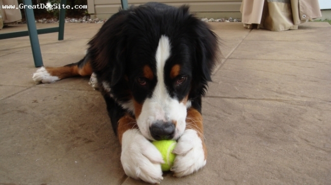 Index of /resources/photos/from_owners/